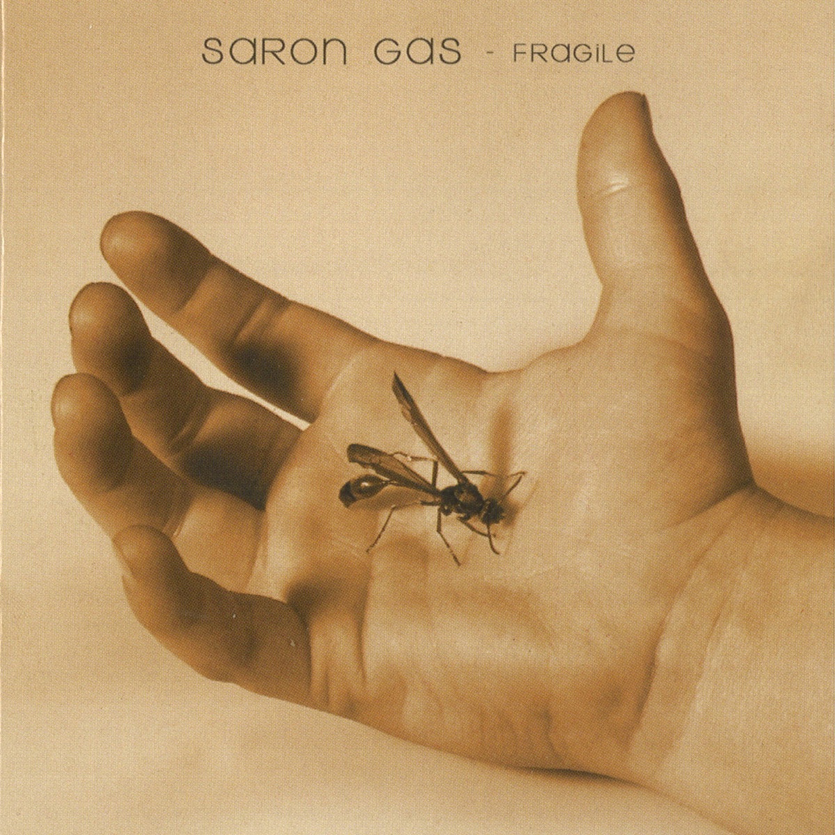 Saron Gas – Fragile – The South African Rock Encyclopedia